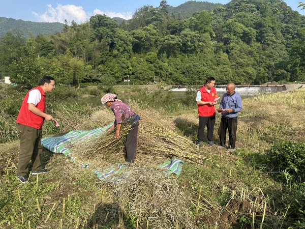 休宁县板桥乡：以党建引领筑牢秸秆禁烧“红色防护网”聚焦县区安徽科技新闻网 